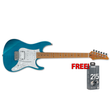 Electric Guitars